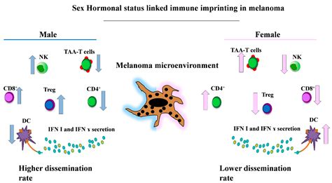 Cancers Free Full Text Sex And Gender Disparities In Melanoma