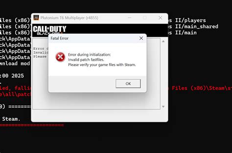 Verifying Bo2 Game Files Plutonium