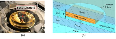 A Microfluidic Chip Integrated With Sers Substrate To Enhance The