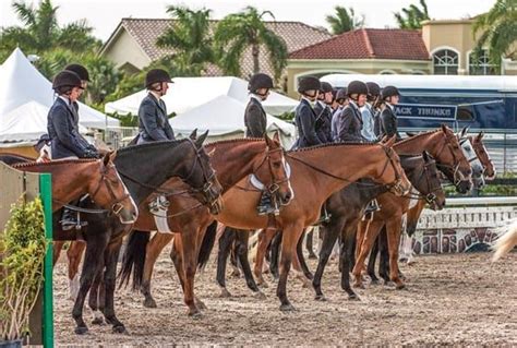 Problems Such As A Horse Not Wanting To Stand Still In The Lineup At