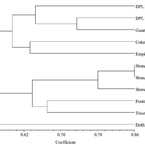 Dendrogram Of First Period Source Germplasm Originating Before The