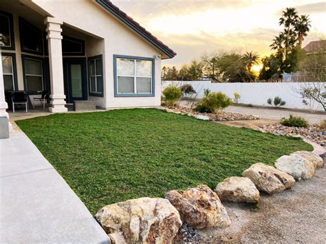 Kurapia Ground Cover Valley Sod Farms Las Vegas