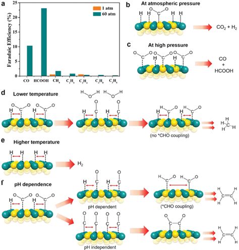 Electrochemical Eco2rr On Ni Electrodes A Effect Of Pressure On The Download Scientific
