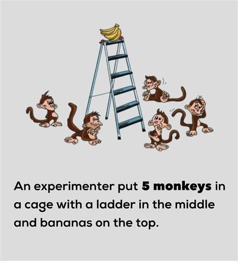 anudi nupearachchi on linkedin some do it the way it s always been and