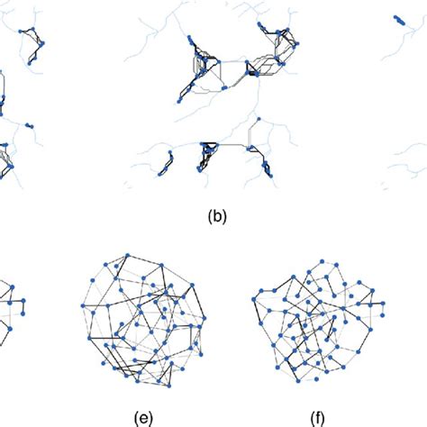Examples Of The Analysed Seven Types Of Habitat Networks A C