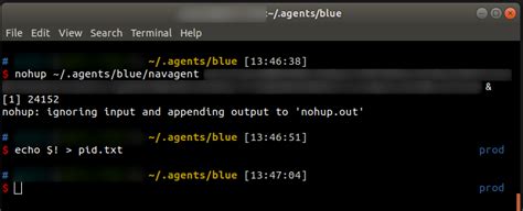 Installing An Augr Agent As A Service