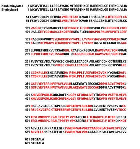 Comparison Of The Detected Sequence Coverage In Biotinylated And