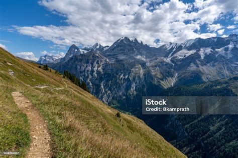 스위스의 에메랄드 그린 라우터브루넨 계곡 위에 우뚝 솟은 아름다운 눈 덮인 스위스 알프스 0명에 대한 스톡 사진 및 기타 이미지 0명 경외감 계곡 Istock