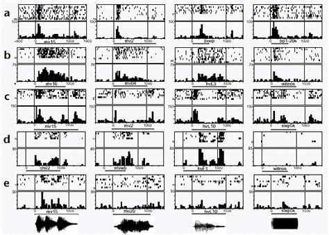 An Auditory Domain In Primate Prefrontal Cortex Nature Neuroscience