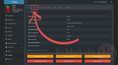 Installing Unbound For Pi Hole On The Raspberry Pi Pi My Life Up