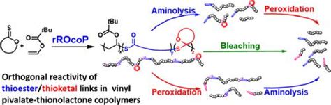 新戊酸乙烯酯衍生共聚物与硫醇内酯的硫酯 硫缩酮功能的按需降解 Macromolecules X Mol
