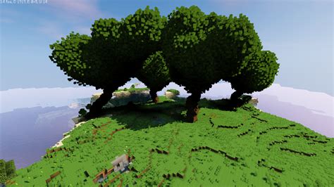 Command Giant Tree Generator Minecraft Map