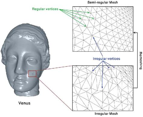 Figure 1 From 3d Mesh Coding Through Region Based Segmentation
