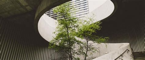 Limiting Global Warming Through Architectural And Design Practices