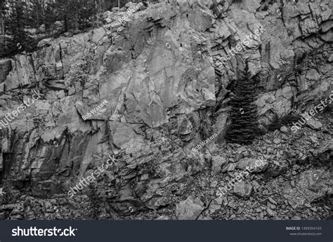 Tree Growing Side Cliff Stock Photo Shutterstock