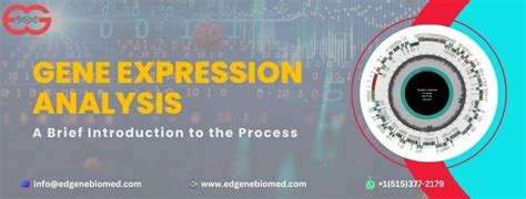 Gene Expression Analysis A Brief Introduction