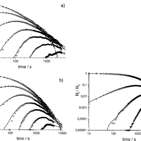 A Time Evolution Of The Normalized Cluster Size Distribution For P