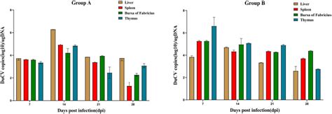 Pathogenicity Of Duck Circovirus 1 In Experimentally Infected Specific Pathogen Free Ducks Pmc