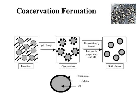 Microencapsulation Ppt