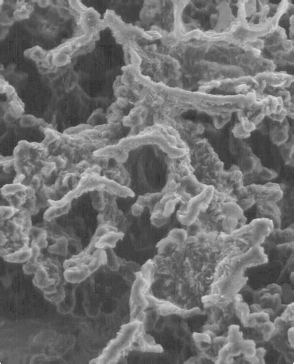 Iron Types Page 2 Austempered And Compacted Graphite Metal Casting Institute