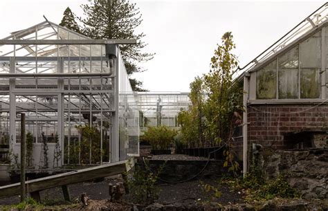 Domain Glass Houses By Archoffice Registered Architects Archipro Nz