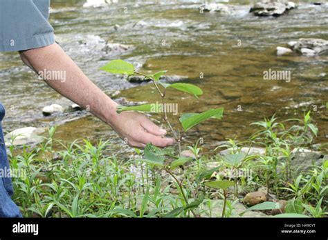 A Survey Conducted To Assess The Success Of Conservation Efforts Within