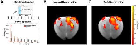 Data Driven Fourier Analysis A Top Stimulation Paradigm And Download Scientific Diagram