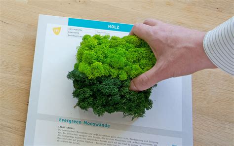 Circular Office Interiors