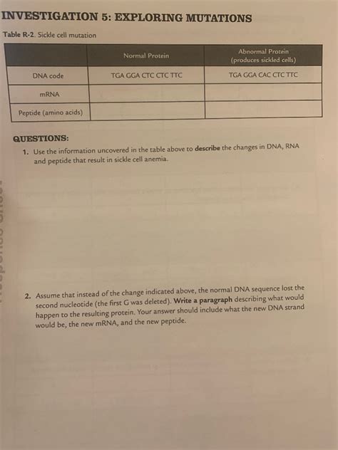Solved INVESTIGATION 5 EXPLORING MUTATIONS Table R 2 Chegg Com