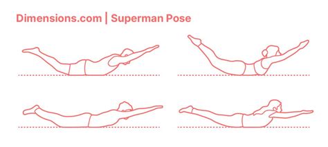 Superman Pose Full Locust Pose Viparita Shalabhasana How To Do