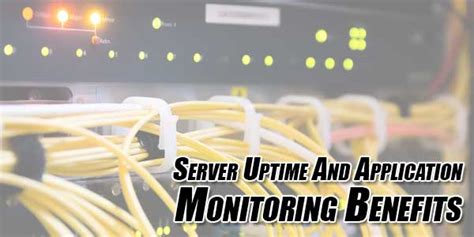 Server Uptime Monitoring That Maximizes Your Websites Availability Exeideas Lets Your Mind