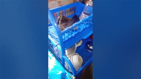 ঘরের পরিস্কার পরিচ্ছন্নতার কাজ Home Cleaning Work Youtube