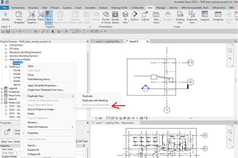 Solved Difference Between Duplicate With Detailing And Duplicate As