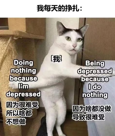 20250528 c 知识：强制类型转换
