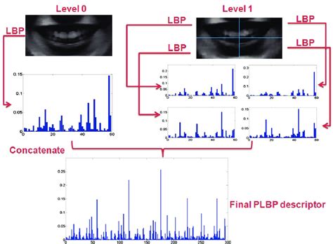 1 Pyramid Of Local Binary Pattern First Row Stimuli At Two Different