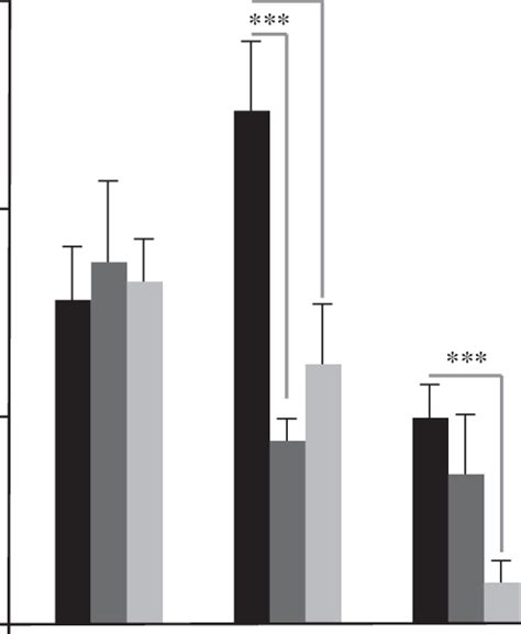 The Effects Of C 60 Pre Exposure On The Induction Of Erod Activity By Download Scientific