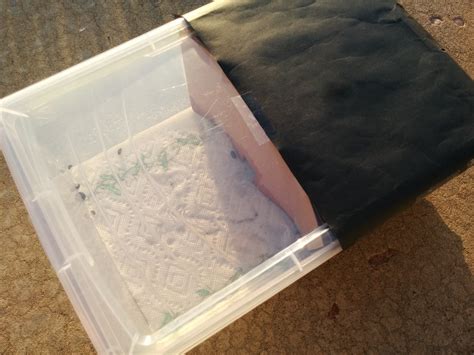 Pill Bug Investigation Grade 3 Science At Shadow Valley Elementary