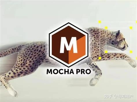 终于来了，mocha pro 2023 v10插件汉化版，支持多帧渲染 知乎