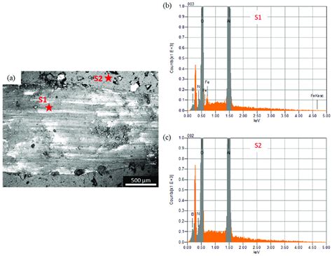 A Sem Micrograph Of The Wear Track On B20 Composite Against Alumina