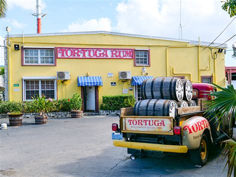 11 Best Grand Cayman Excursions To Enjoy