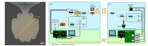 Fast Single Photon Detectors And Real Time Key Distillation Enable High