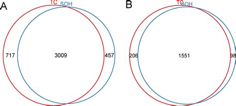Identification And Quantification Of S Sulfenylation Proteome Of Mycobacterium Tuberculosis