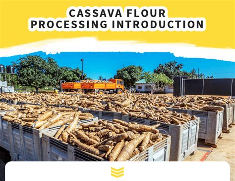 Professional Cassava Flour Processing Machine Manufacturer And Supplier