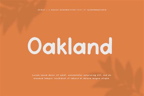 Scout Font 1001 Fonts