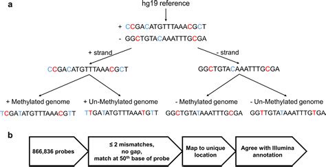 Characterization Of The Illumina Epic Array For Optimal Applications In