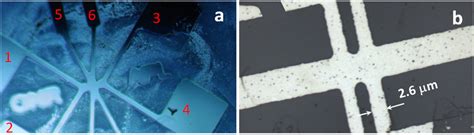 Consecutive Steps In Lithographic Processing Of The Device A Larger Download Scientific