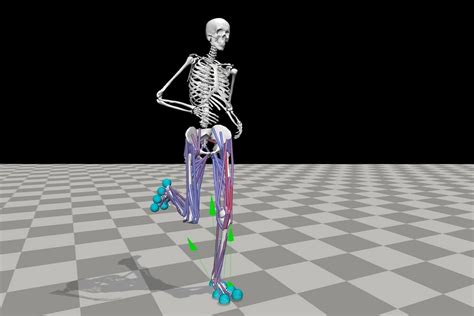 Skeletal Animation Basics For Better 3d Character Design Fox Render Farm