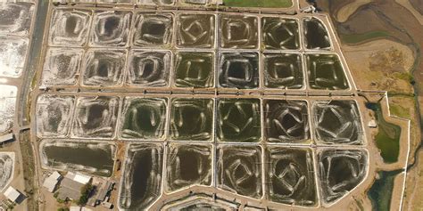 Harnessing IoT Technology Enhanced Shrimp Farming Efficiency Digital Aqua Farm