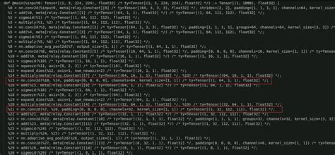 error occured to efficientnet in structure after prerequisite optimize