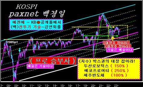 제주반도체 박 급등 ~축~ 투자전략 투자정보 전문가방송 팍스넷 증권포털